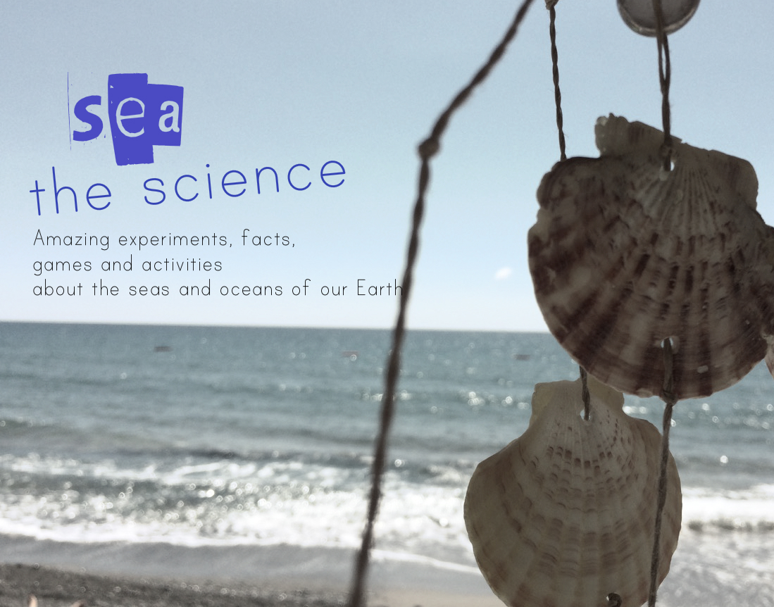 FINAL_sea_poster – welcome to science ever after